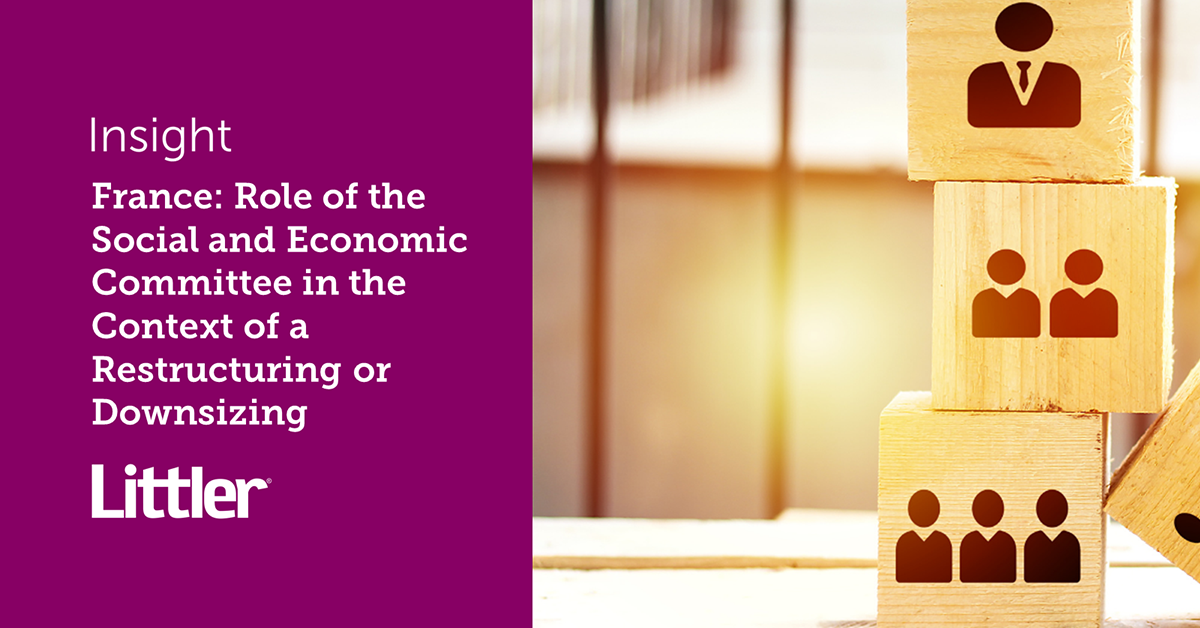 France: Role of the Social and Economic Committee in the Context of a ...