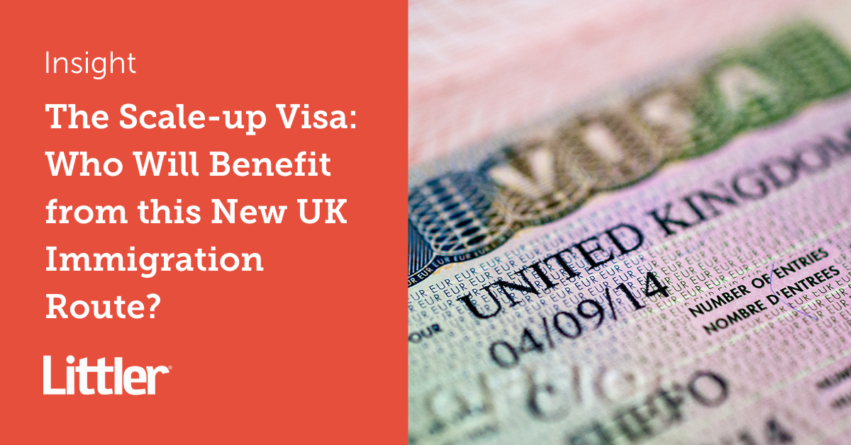 scale up visa uk